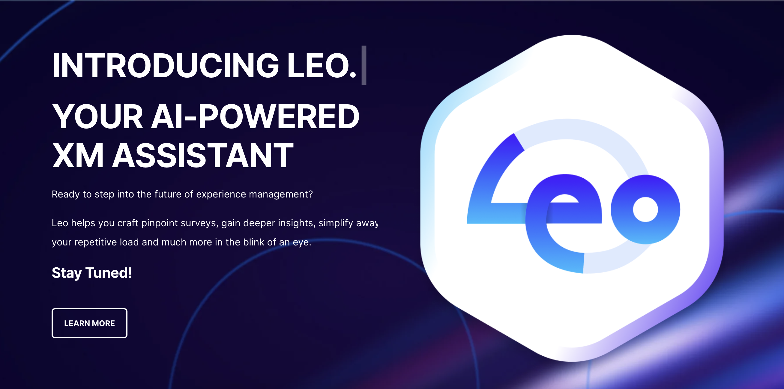 Introducing Leo: Your AI-Based Experience Management Assistant